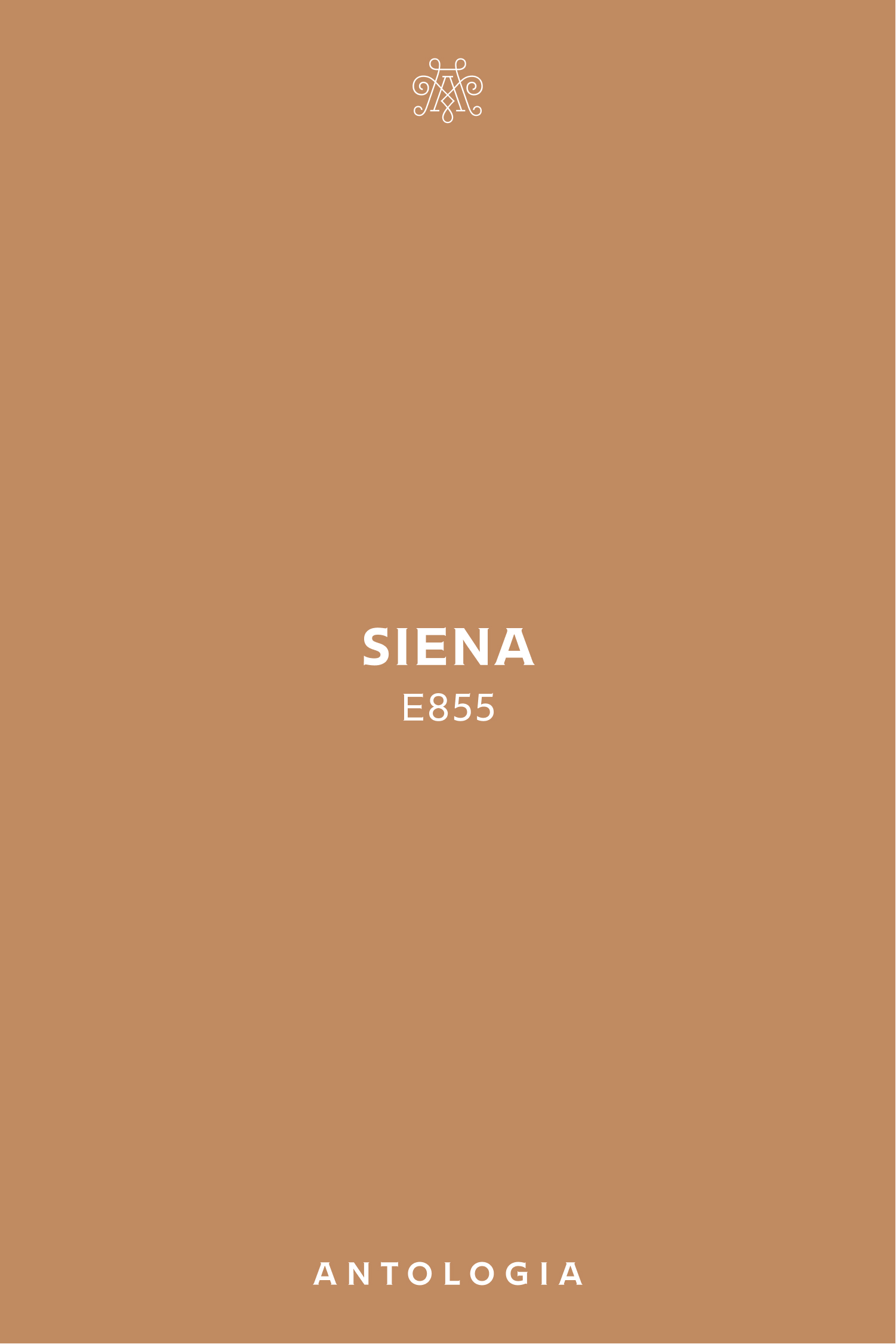 CIN Antologia | Siena