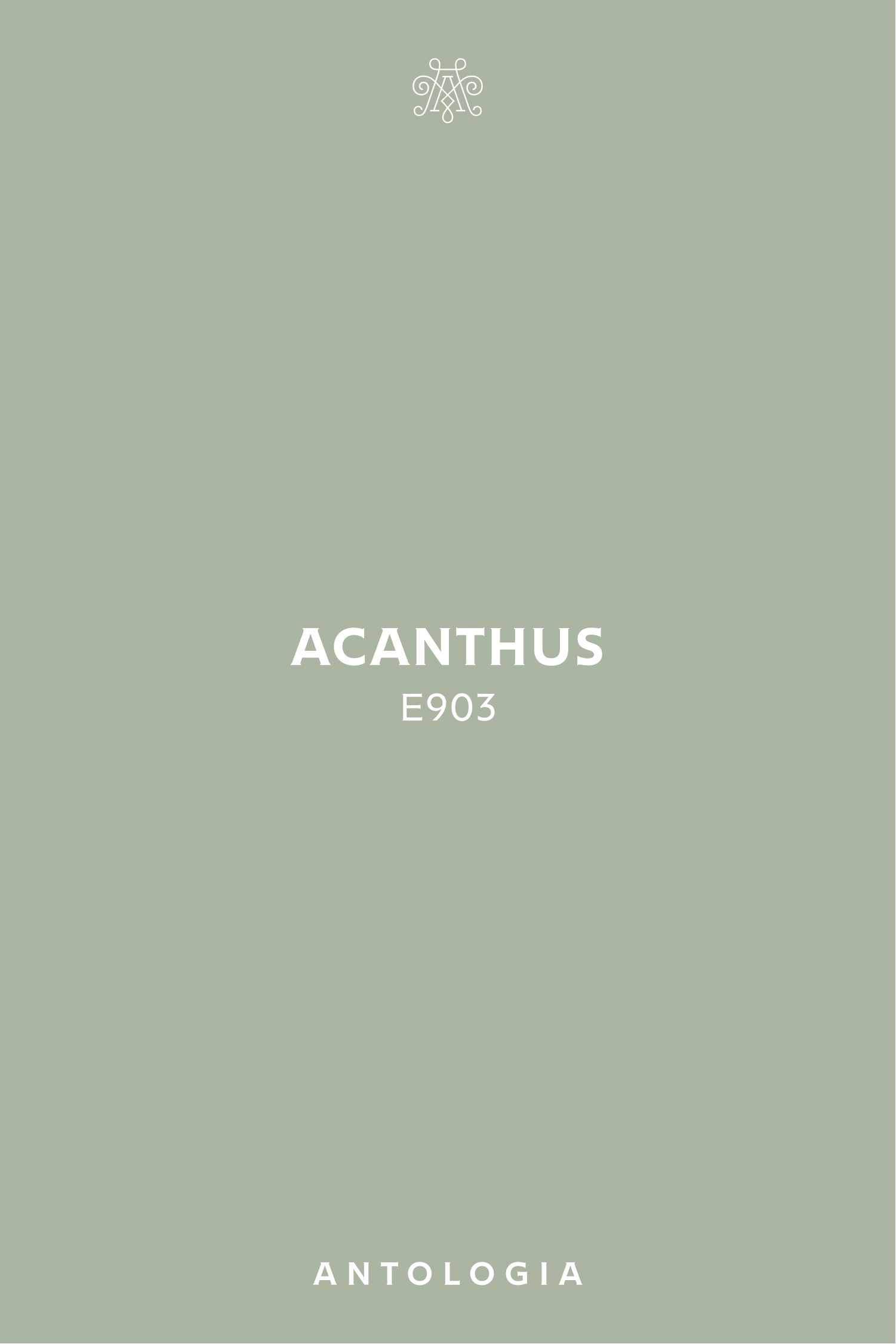 CIN Antologia | Acanthus